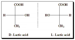 Molecular Handedness: How Chirality Shapes Molecules – Chiralpedia