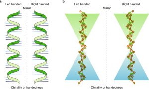 Chirality in Nature: From DNA to Snail Shells – Chiralpedia
